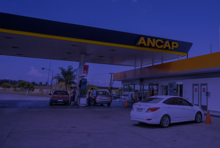 DUCSA - Memoria 2024